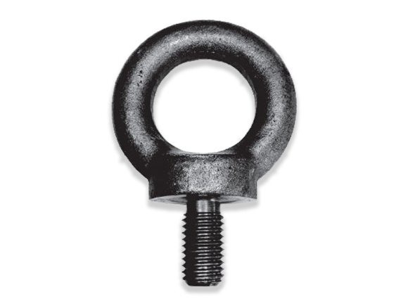 Lifting Eye Bolt SP M36 RH x 54 CS SC (1 Pieces) | eBay