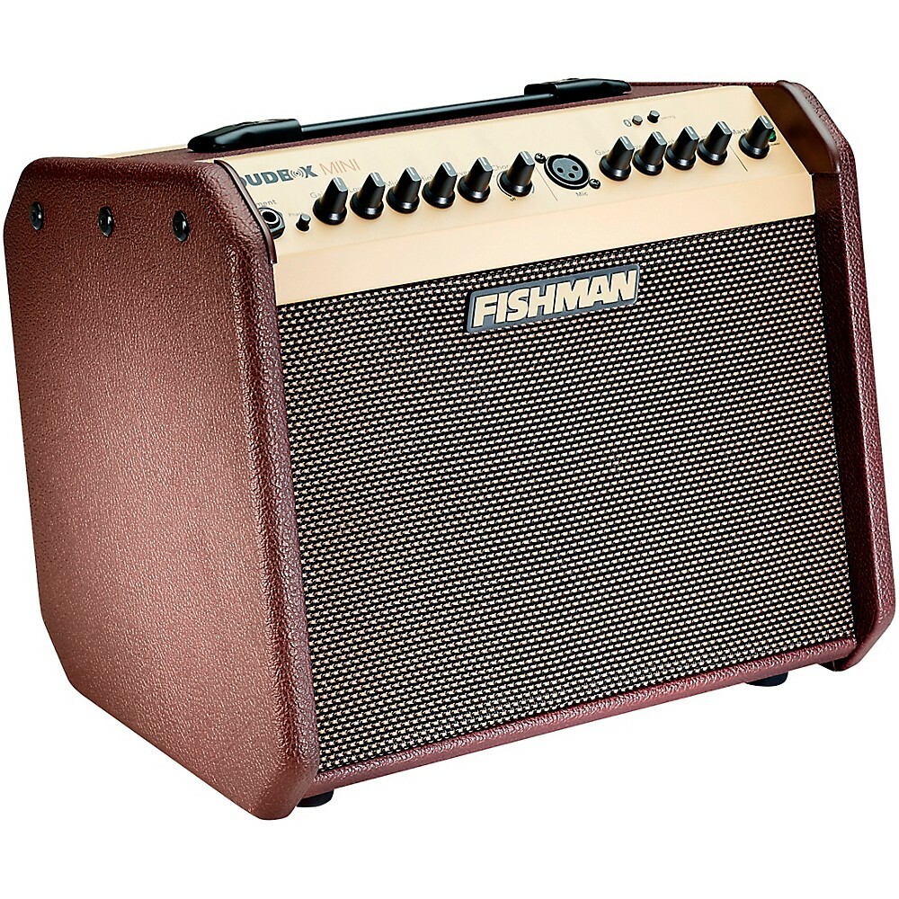 Best Amps for Acoustic Guitar (our top picks) - Guitar Chalk