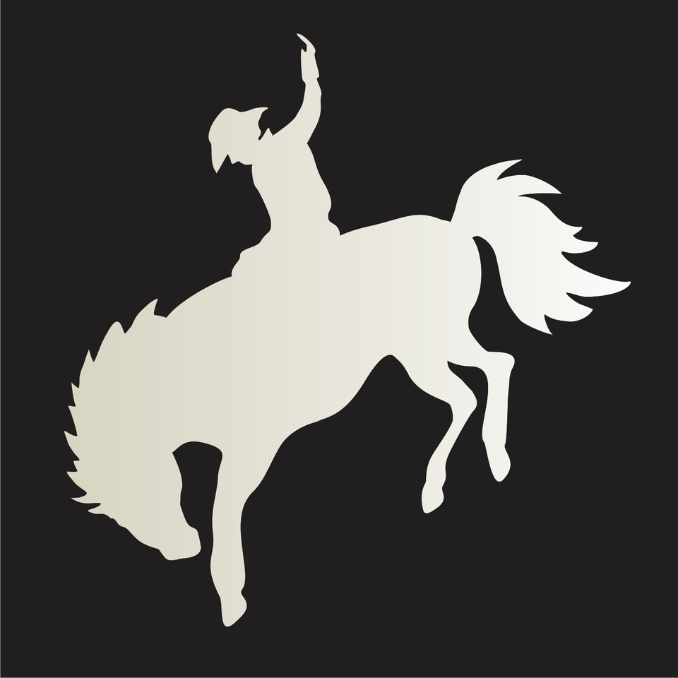 Joanie Rodeo Stencil Saddle Bronc Rider Cowboy Bucking Horse DIY Signs ...
