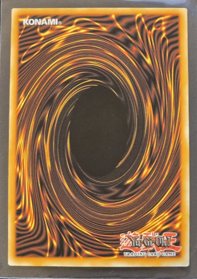 Blue-Eyes White Dragon (Version 2) - Yugioh TCG - LDK2-ENK01 - Common - NM | eBay