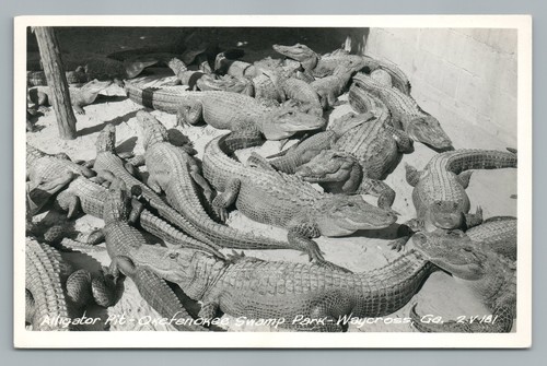 Alligator Pit—Okefenokee Swamp Park RPPC Waycross Georgia—Vintage Photo ...