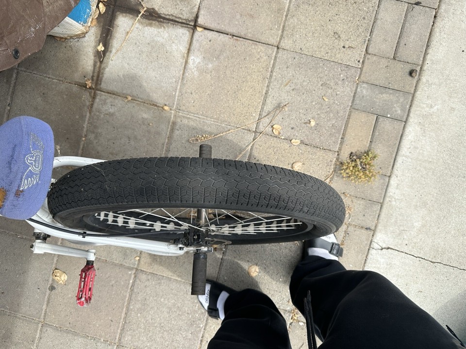 Sebike 26 Inch Mike Buff Fat Ripper | eBay