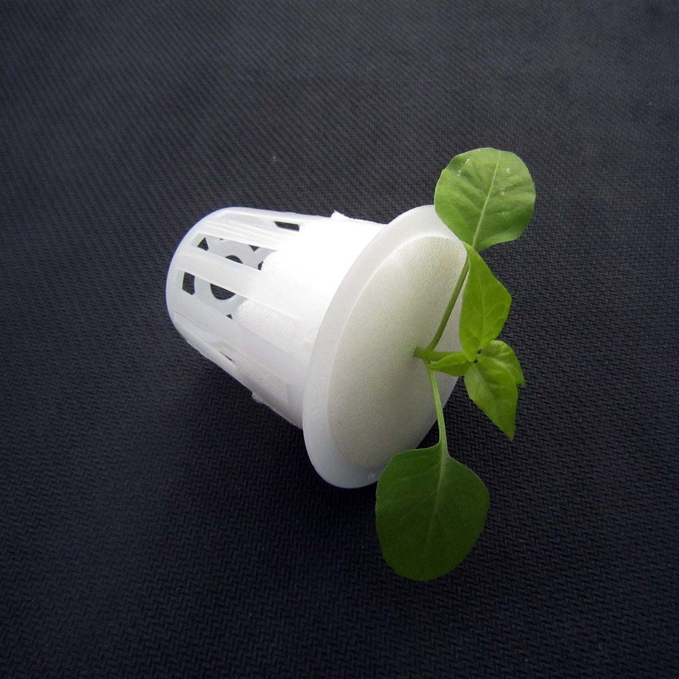 10 Clear White Mesh Pot Net Basket + Clone Cloning Collar Foam Insert ...