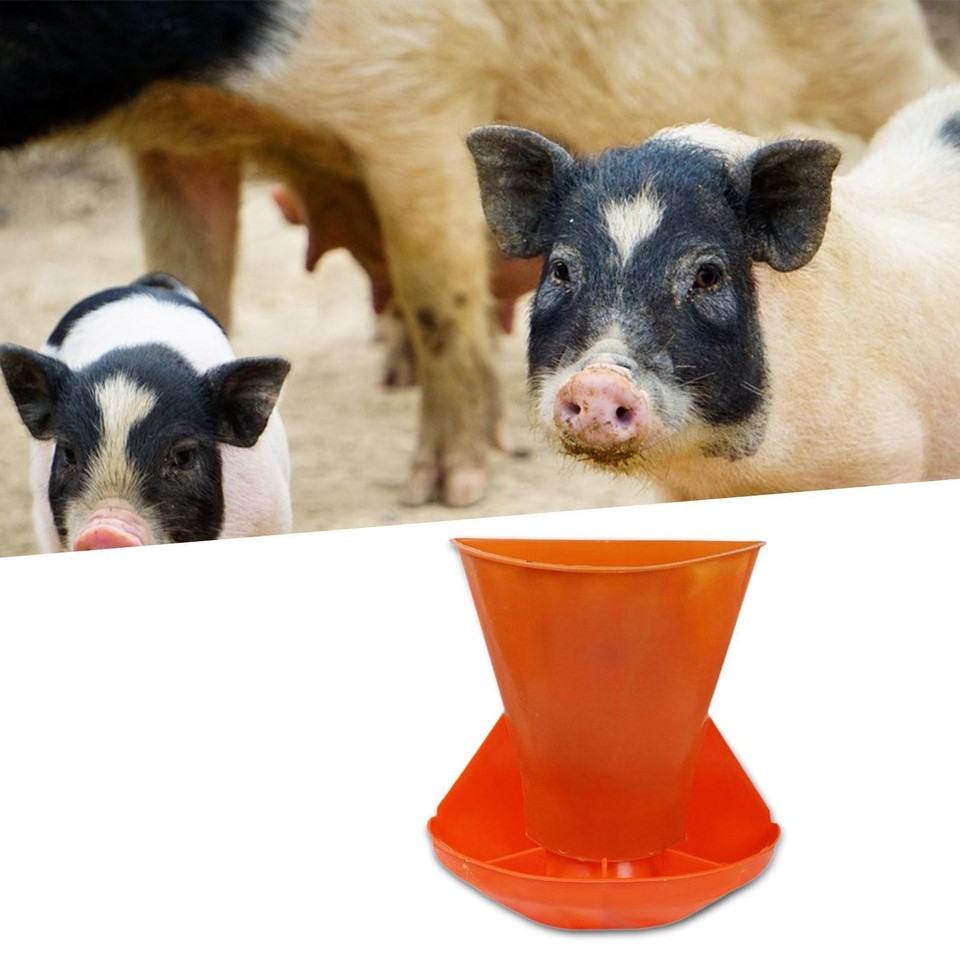 Piglet Feeding Trough Livestock Feeder Orange Supplies Pig Trough with ...