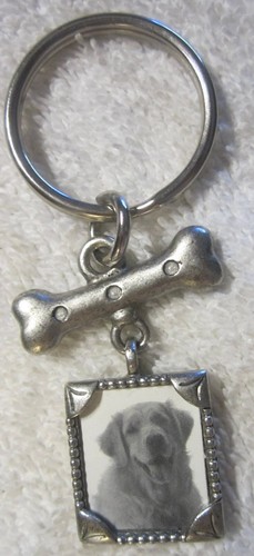 1 Gift Keychain Labrador Golden Retriever Dog Funny Pet Lab,bone,New | eBay