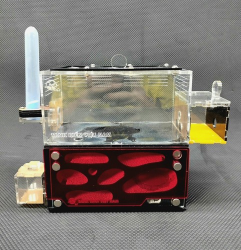 Ant tank/Ant farm - Stand Nest D02 - Full Option | eBay