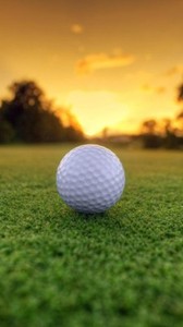 JD's Premium Golf Balls | eBay Stores