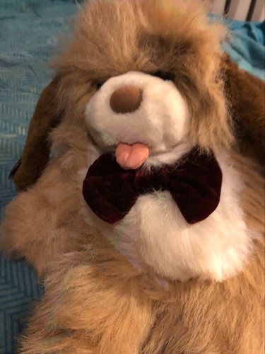 Ganz Dog with bowtie Heritage Collection ~9" Soft Plush | eBay