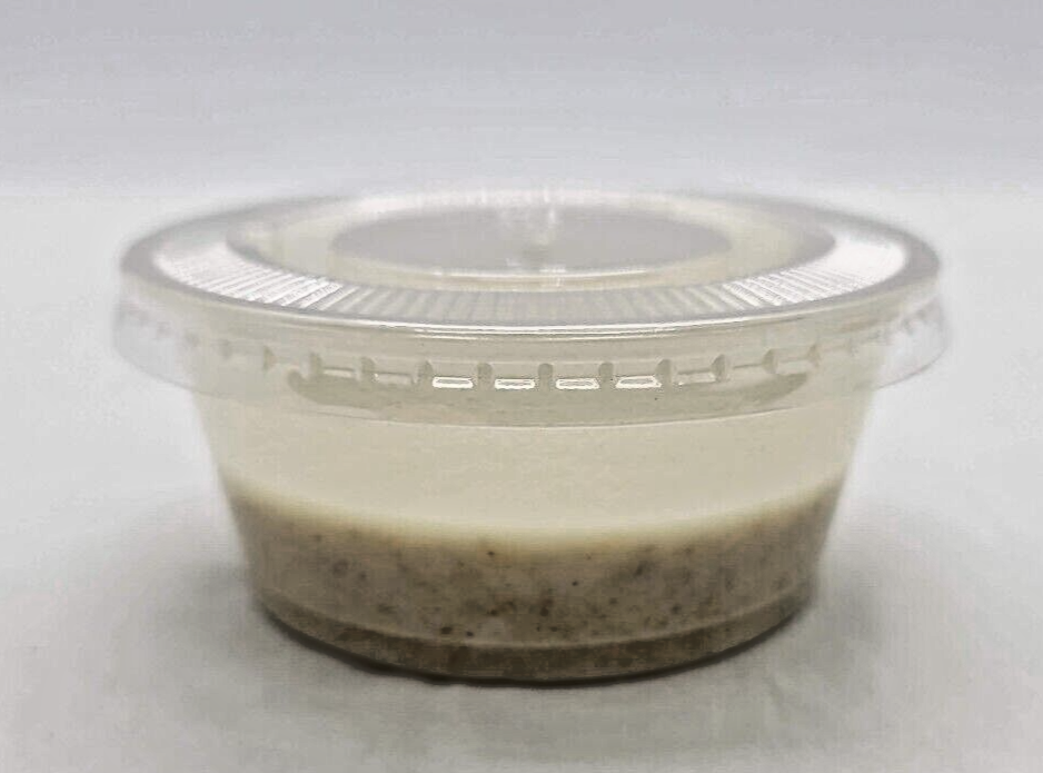 Microworm READY to use Culture live food for fish fry, 3.25 Onz ...