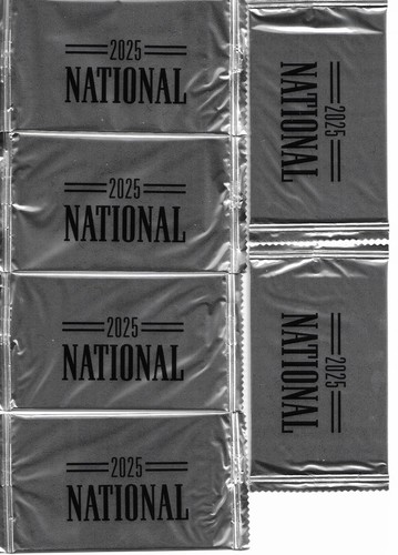 2025 Panini National Exclusive Silver Pack Lot Factory Sealed (6 Pack ...