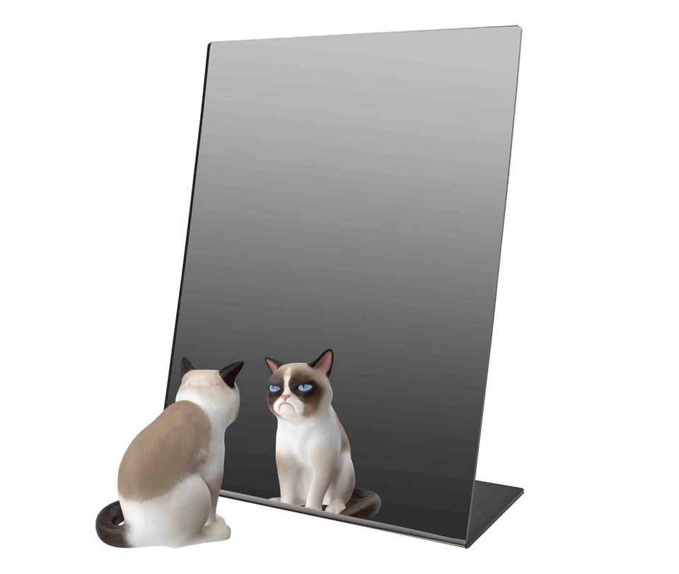6 Pack 12" x 18" Acrylic Mirror Slant Back Freestanding Countertop ...