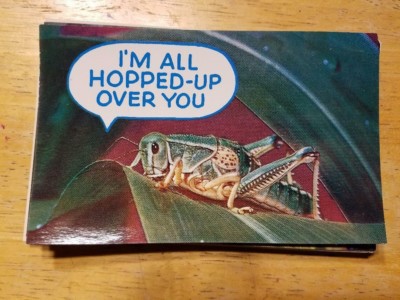 50 VINTAGE COLORFUL HUMOROUS POSTCARDS LOT of 50 **I'M ALL HOPPED -UP ...