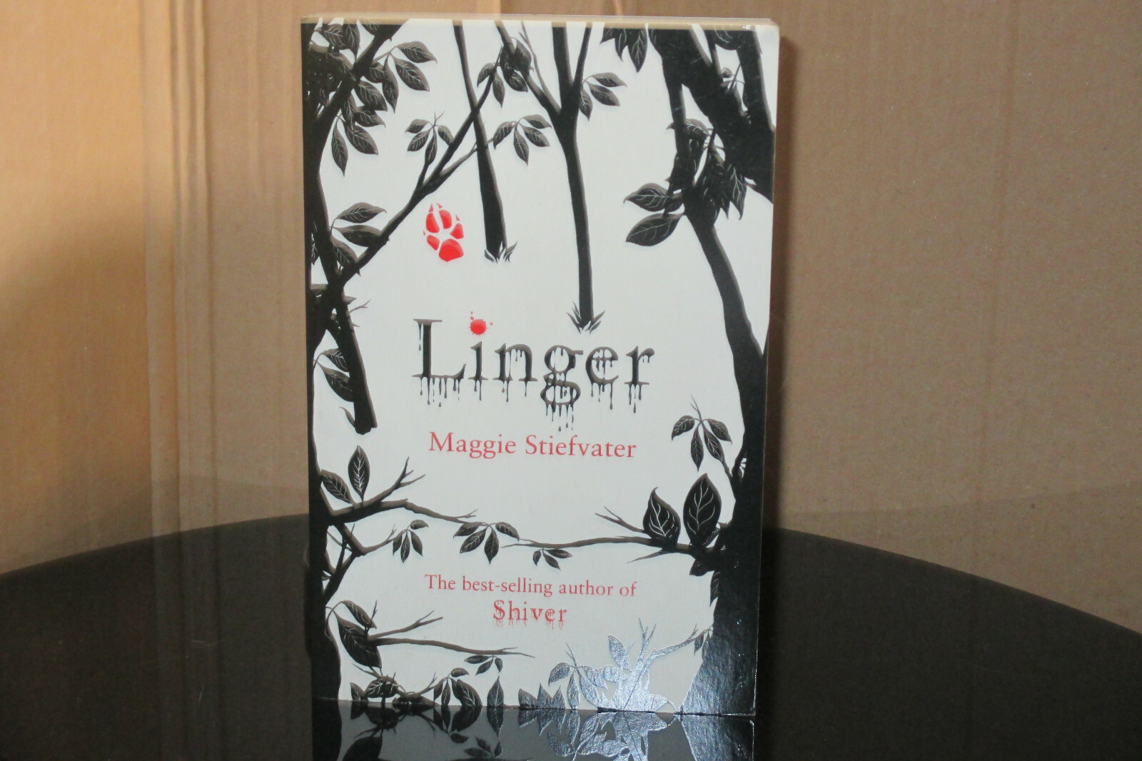 Linger: 2 by Stiefvater, Maggie Paperback Book THI 9781407121086 | eBay