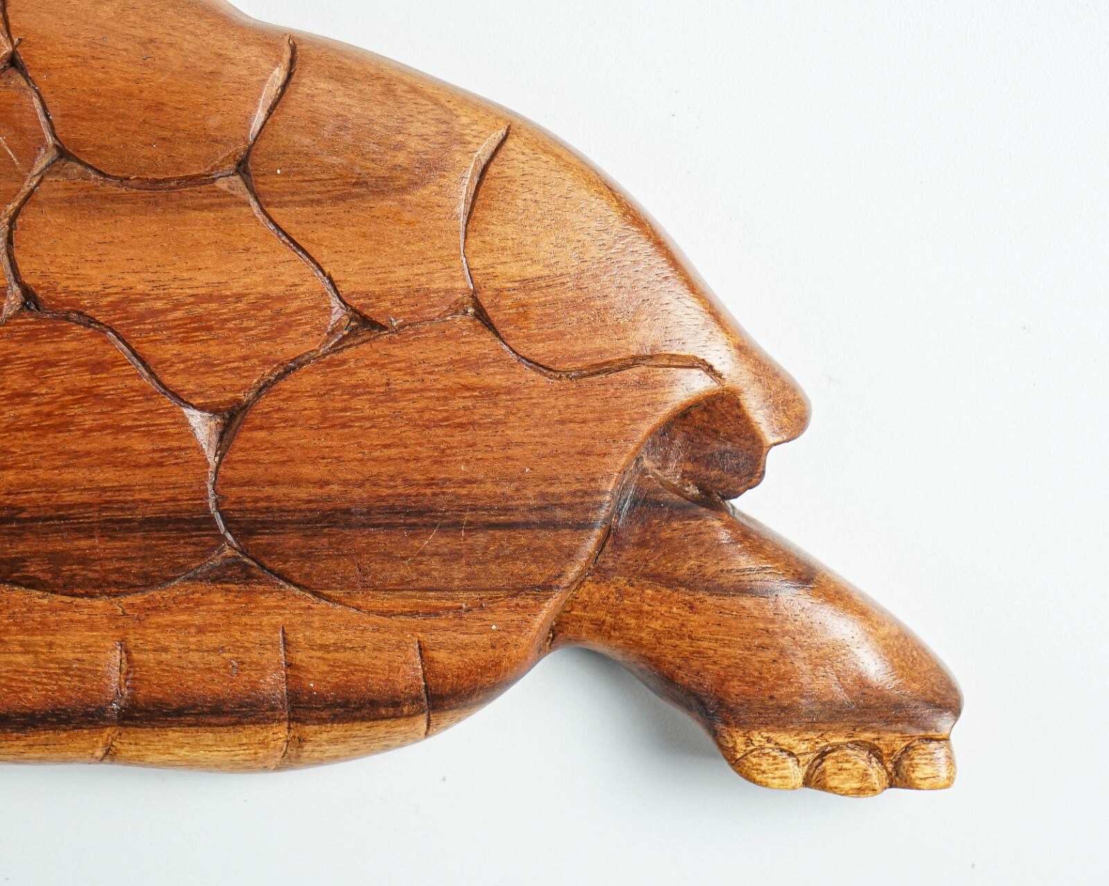 Wooden Turtle Wall Art, Galapagos Animal, Wall Panel, Wood Carving ...