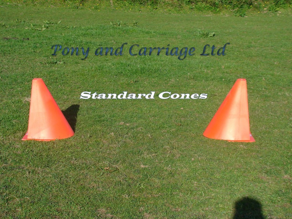 Carriage Driving Cones Flexible or Non-Flexible For Horse Driving ...