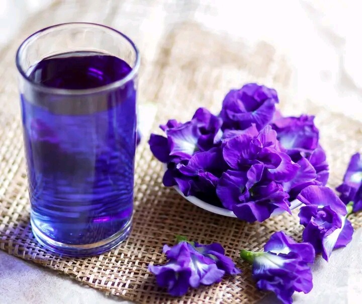 Dried Blue Butterfly Pea Flower Tea Organic Herbal Leaf Clitoria ...