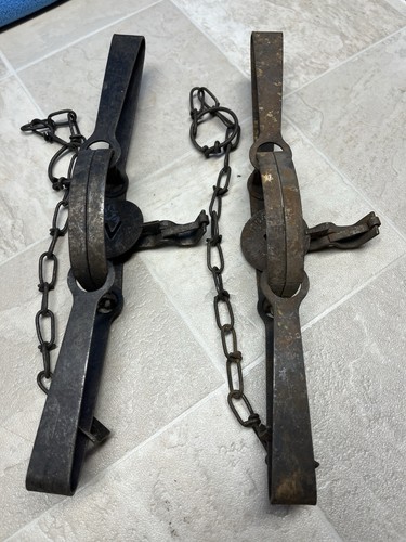 Vintage lot/pair Oneida Victor No. 2 Double Long Spring Trap | eBay