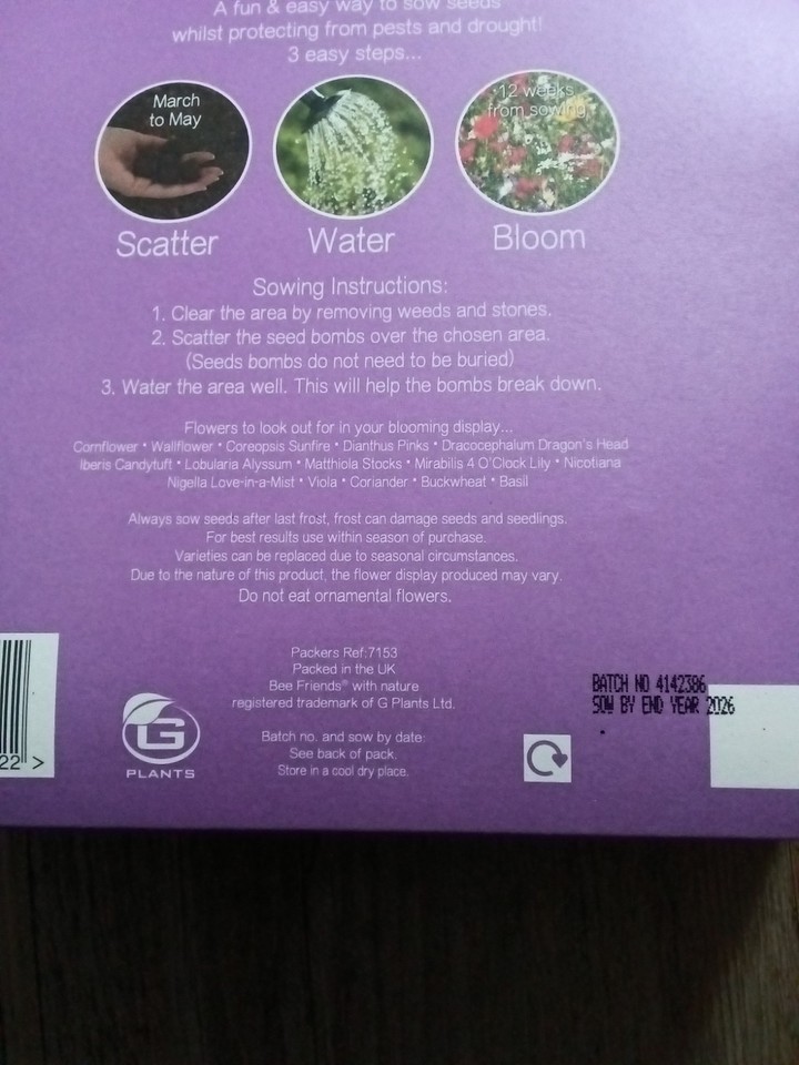 Rainbow Flower Seed Bombs Bees 20 Pack Garden Outdoor Wild flower Gift ...