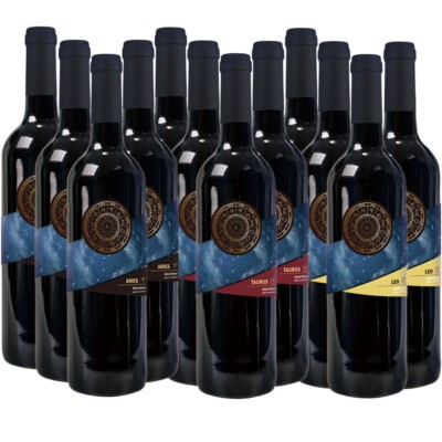 12 Bottle MIXED ARI LEO TAU Shiraz 750ml 2019 Red Wine South Australia ...