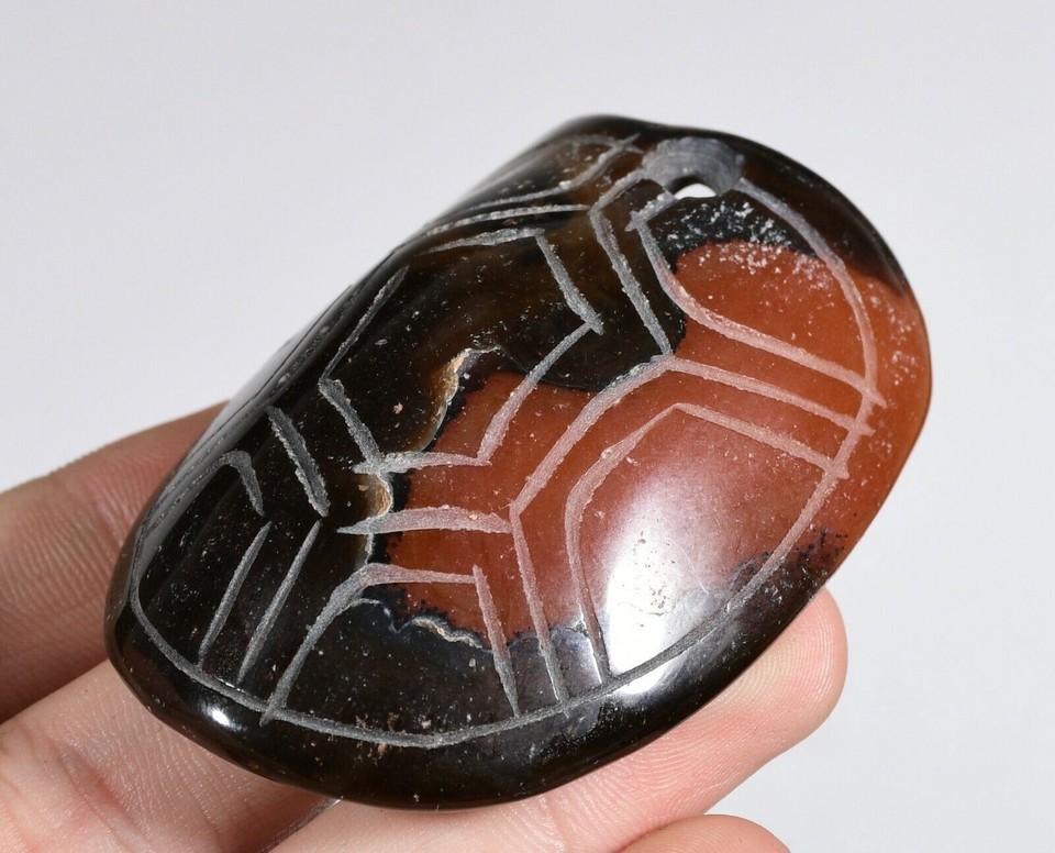 6CM Chinese Hongshan Cultue Agate Carving Turtle Tortoise Shell Animal ...