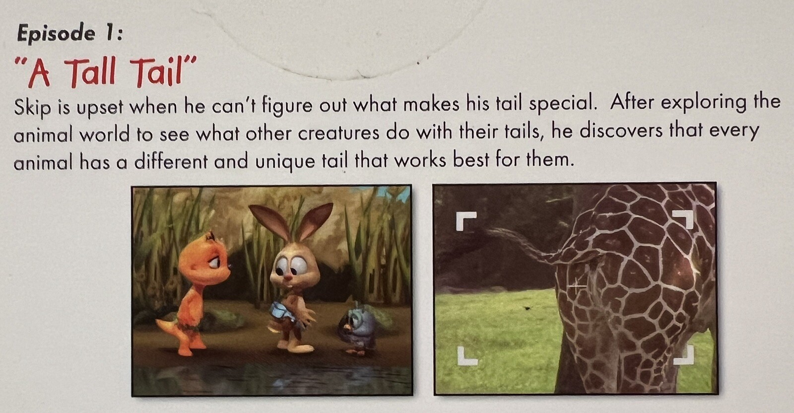 Wild Animal Baby A Tall Tail & Other Stories (DVD) Skip the Rabbit ...