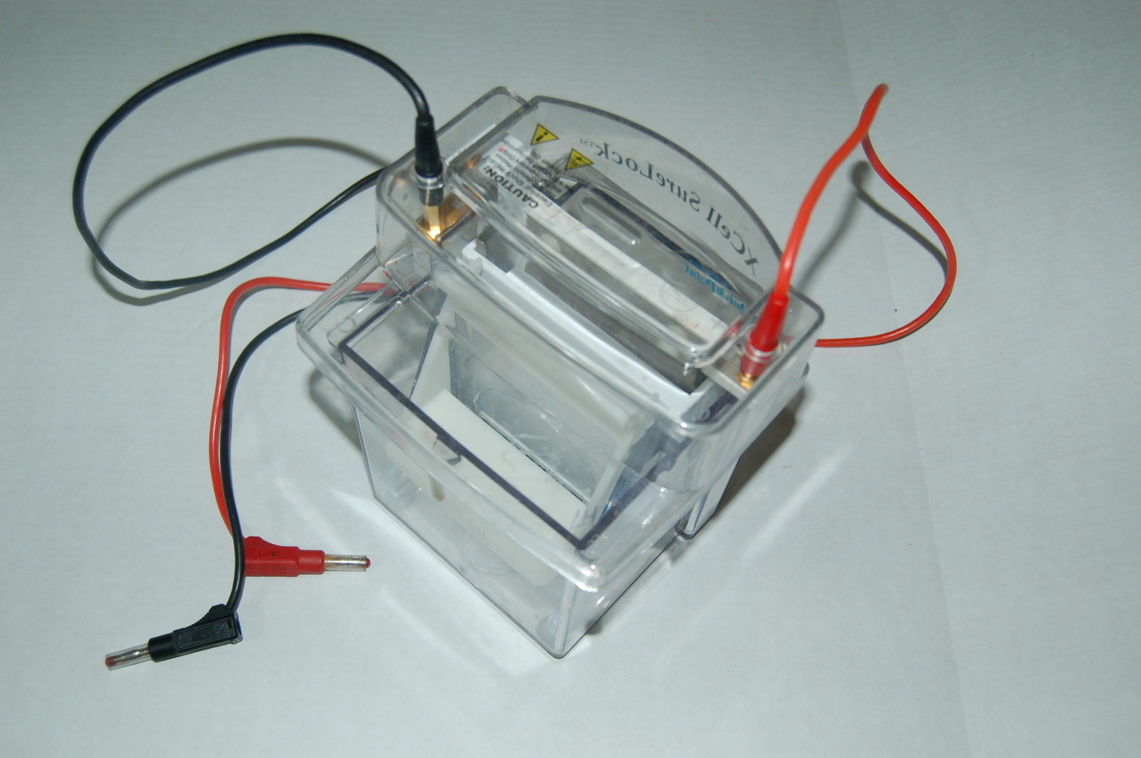 invitrogen gel surelock cell blot module Xcell II blotting tray | eBay