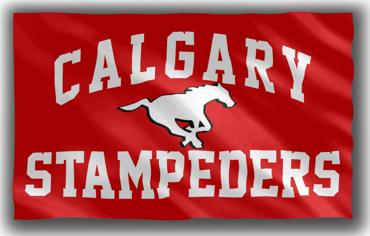 Stampeders Horse Logo CFL RCMP Calgary Stampeders Challenge Coin
