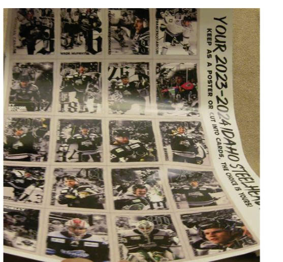 2023-24 Idaho Steelheads Hockey Colton Kehler Trading Card ECHL RARE ...