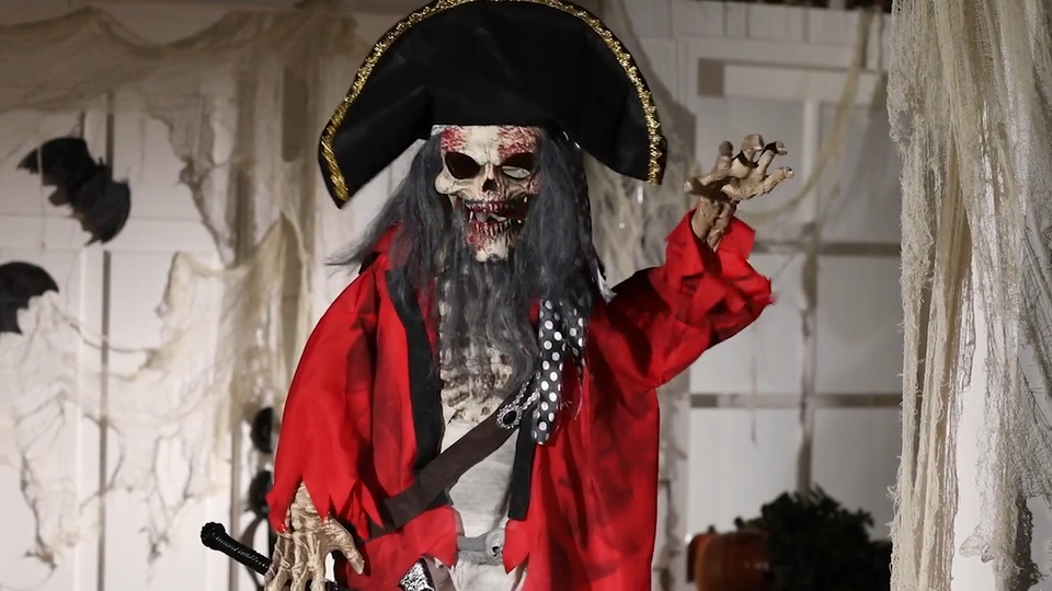 6ft Life Size Standing Skeleton Pirate Prop Halloween Decor Display ...