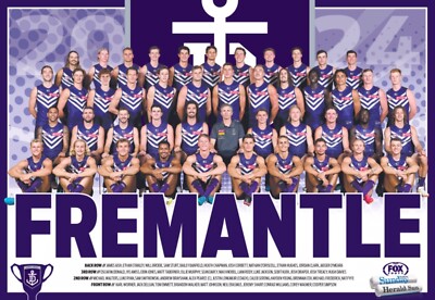 2024 FREMANTLE DOCKERS AFL FOOTBALL team poster, BIG 590mm,BARGAIN ...