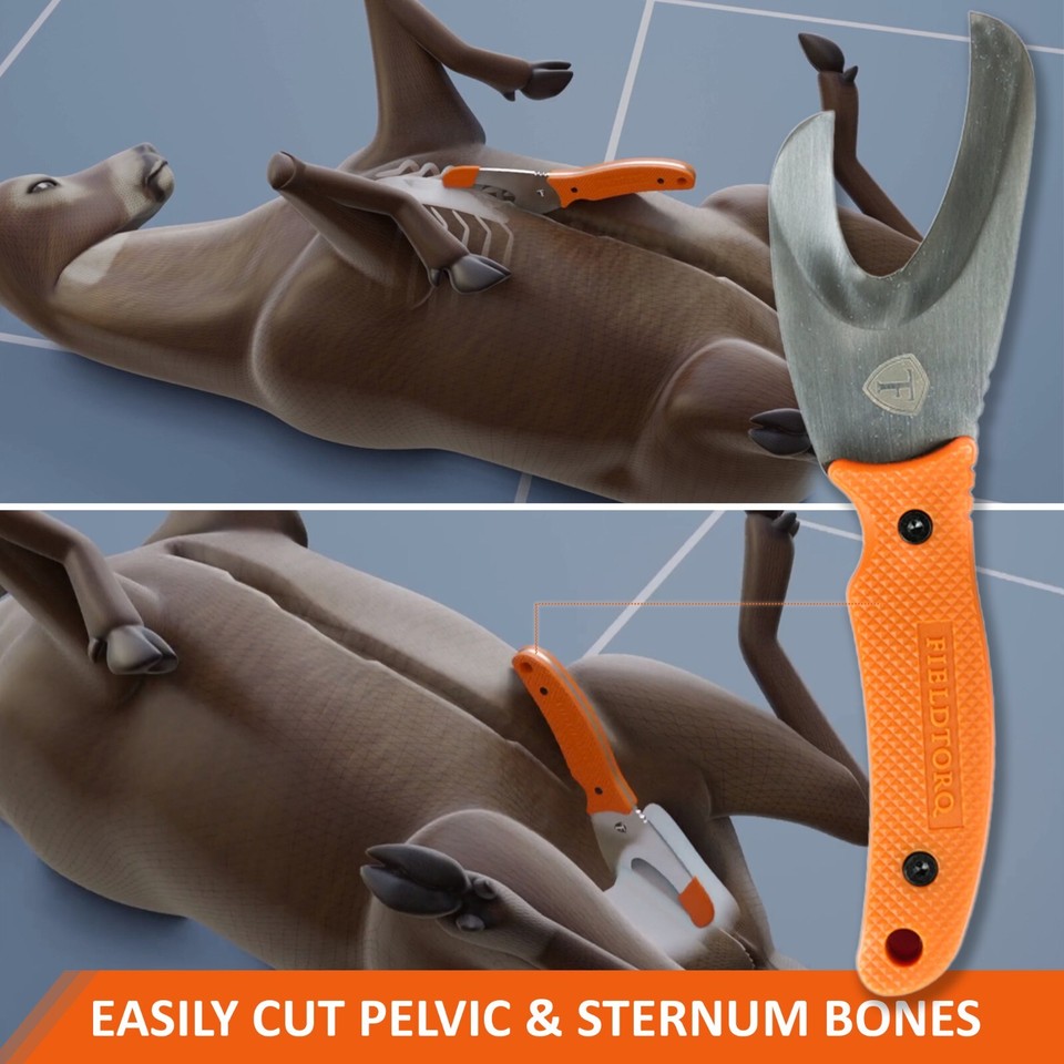 FIELDTORQ Super Tool | Skinning Knife | Gut Hook | Bone Cutting | Flesh ...