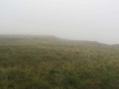 Photo 6x4 Moorland and solitary tree northeast of Bolt's Law Ramshaw ...