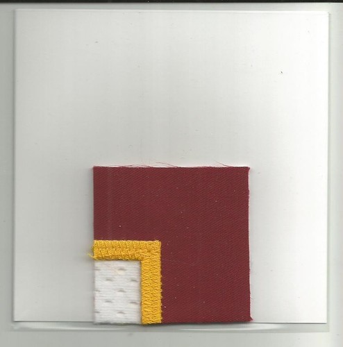 Sean Taylor Washington Redskins Game Worn Jersey Patch - NFL ...