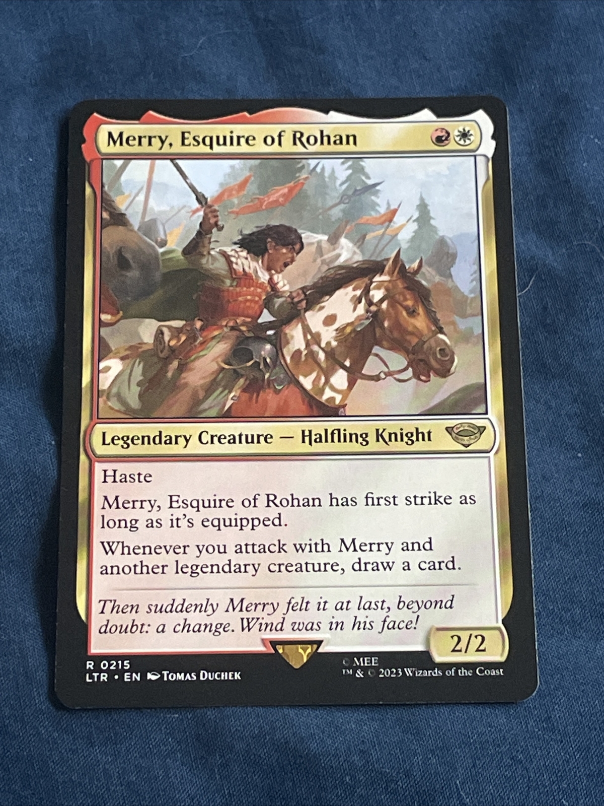 Merry, Esquire of Rohan (215) The Lord of the Rings: Tales of Middle ...