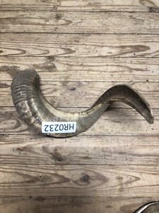 The Wildlife Ranch | eBay Stores