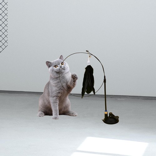 Cat Toy Suction Cup Stable Suction Cup Base for Smooth Surface Window ...