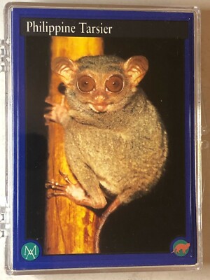 ENVIRONMENTAL ACTION CARDS SERIES 2 1993 COMPLETE CARD SET OF 50 | eBay