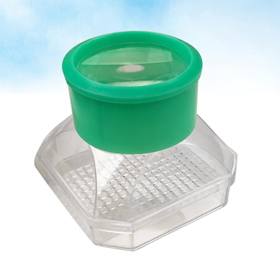 Insect Catching for Kids Learning Toys Observation Children Magnifier ...