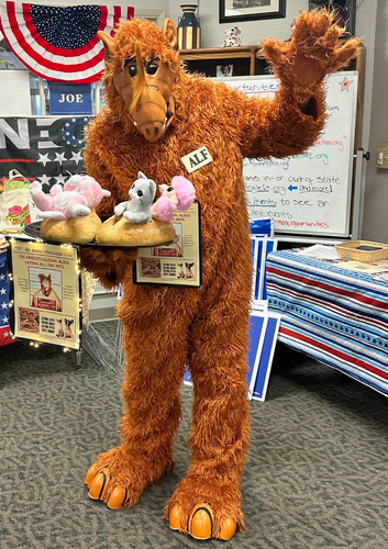 ALF full body costume, XL. Excellent condition; worn only once! | eBay