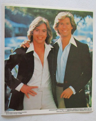 Vintage 1977 The HARDY BOYS TV Show Sticker ~ Shaun Cassidy & Parker ...