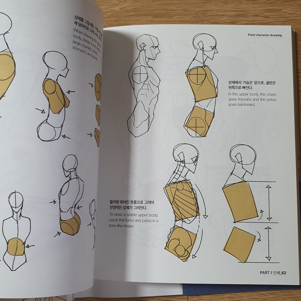 Point Character Drawing by TACO Lezhin Comics Human body Drawing Guide ...