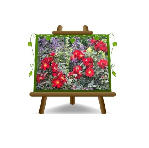 Embouts Rose Coprisuolo Abeilles Jar Rot - Fiore 2-4 CM - Vase 19x19cm ...