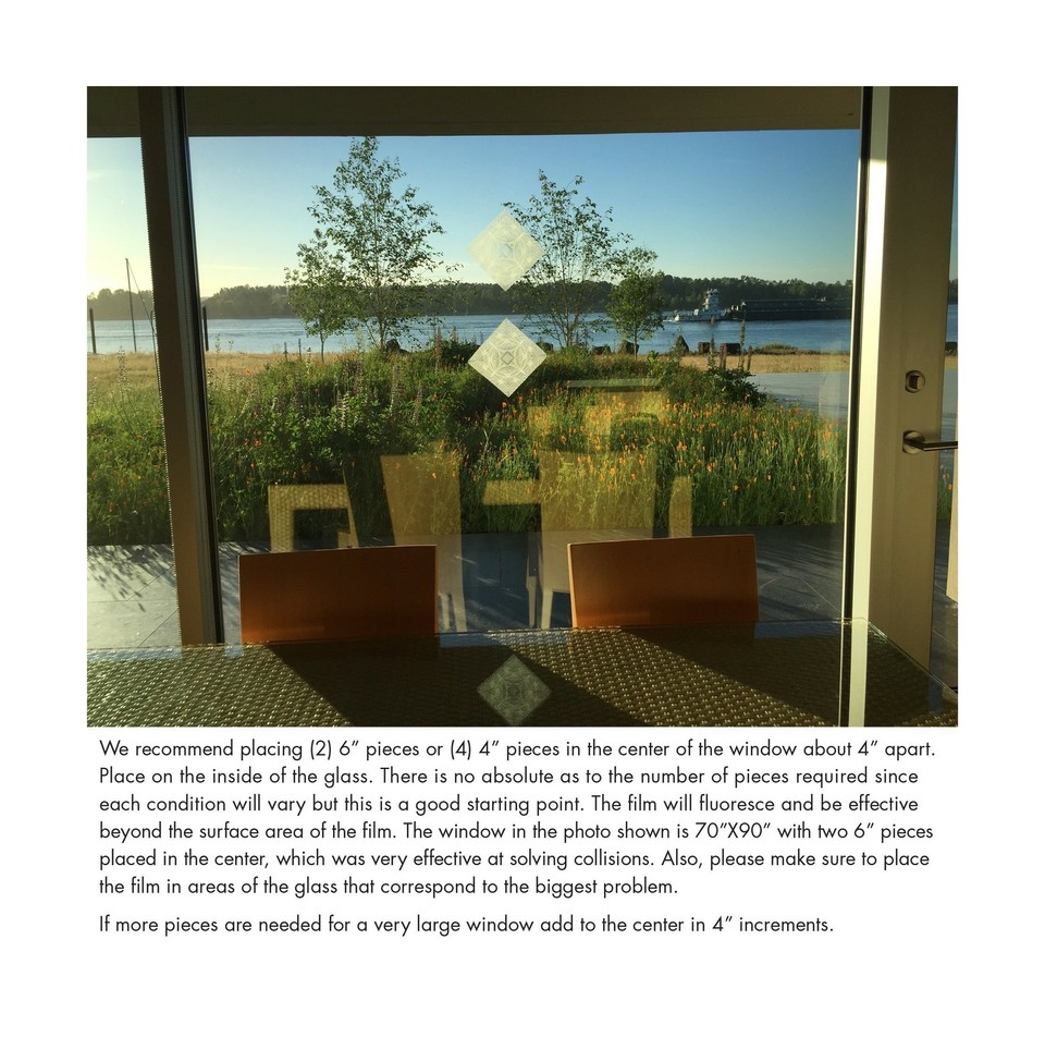 Bird's Eye View Clear/Etched Window Deflector 6"X6" Etched Easy to ...