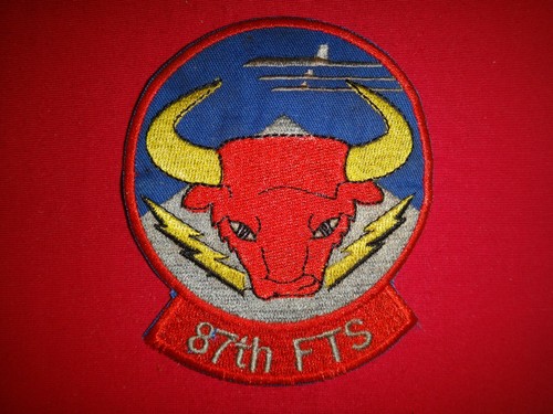 USAF 87th FLYING TRAINING SQUADRON Patch | eBay