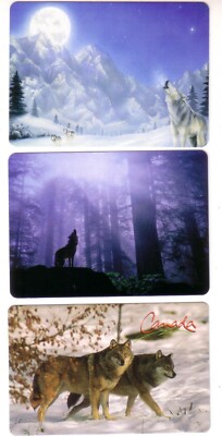 Set 3 x Grey Wolves No 2 - Modern Wide Swap Playing Cards | eBay