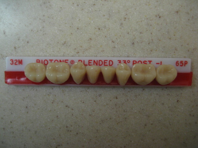 Dentsply Denture Teeth Biotone Blended 33° Lower Posterior 32M/65P ...