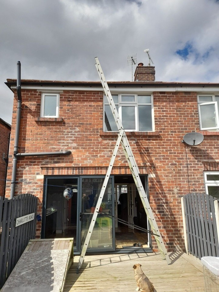 LYTE LADDERS LCL12 3×12 Rungs Professional 3 Combination Ladder | eBay UK