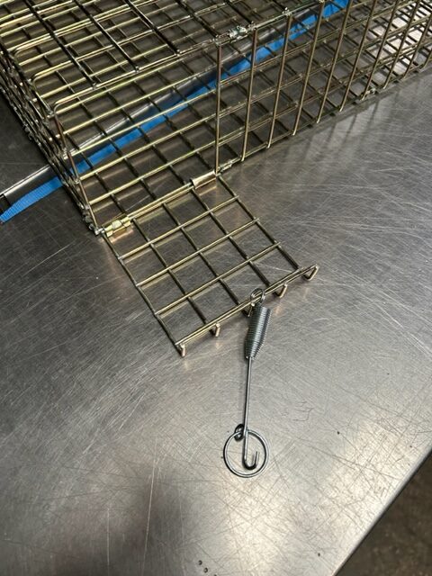 GREY SQUIRREL MULTI CATCH TRAP SQUIRREL TRAP MULTI CATCH STRONG HEAVY ...