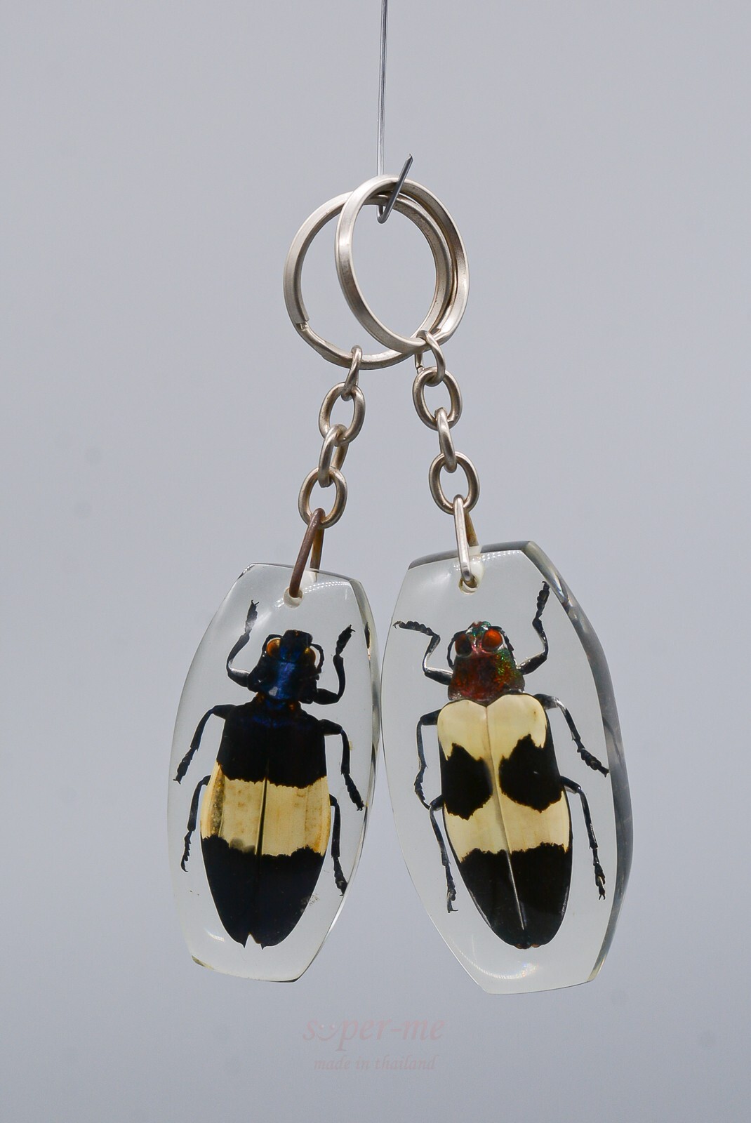 Bug Key Chains