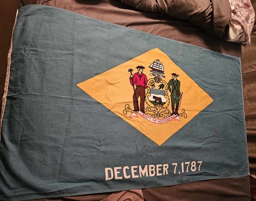 VINTAGE Defiance DELAWARE State Flag FULL SIZE - 100% cotton bunting | eBay
